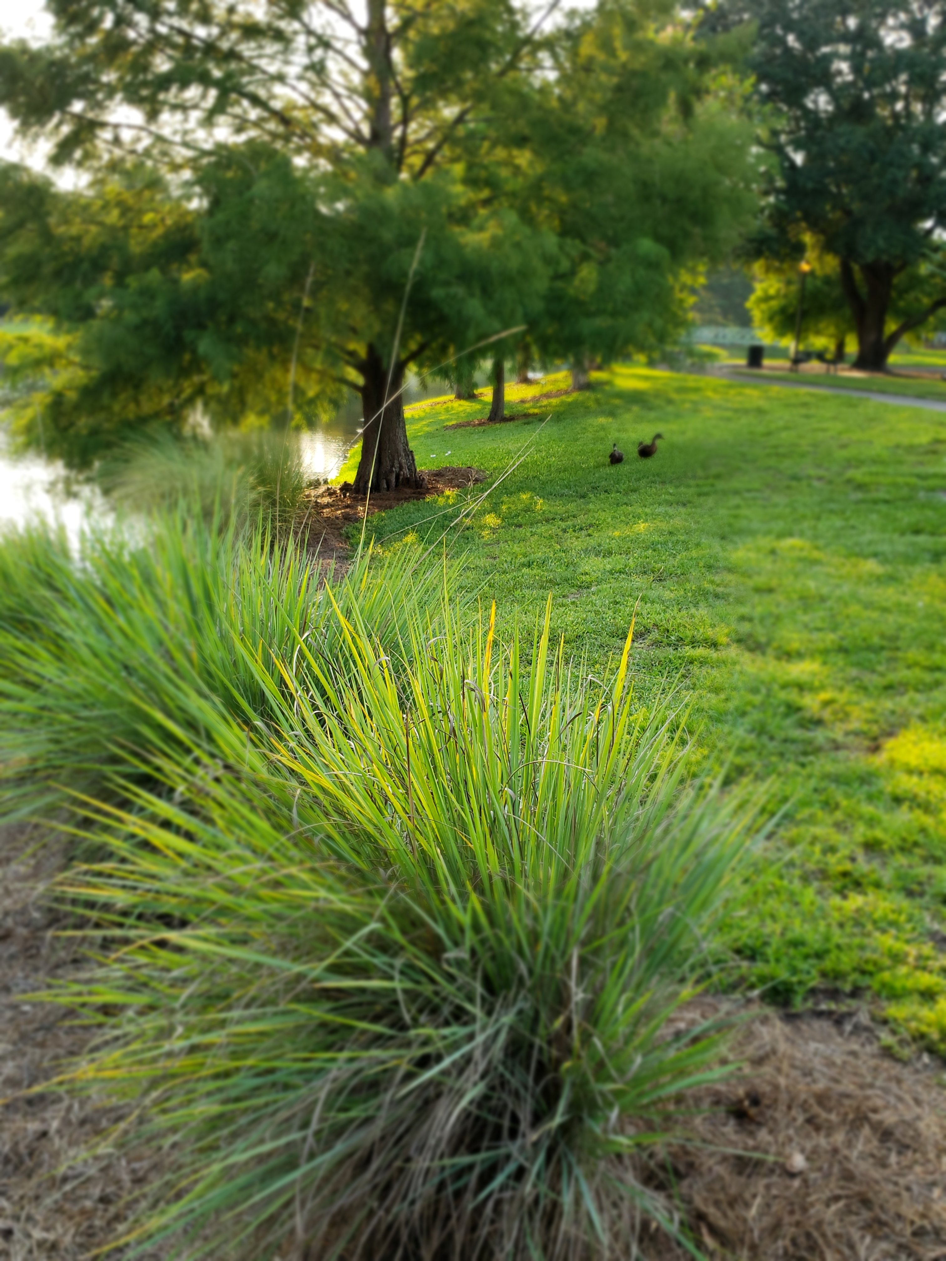 So Concerned – Get It or Get Got!